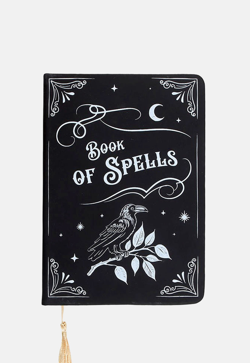 Mystic Raven Book of Souls A5 Notebook – DMG SCY